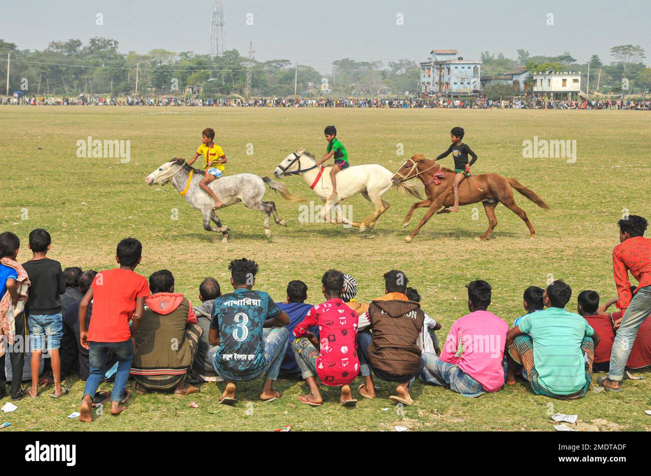23 January 2023 in Sylhet-Bangladesh: A traditional Horse Race of ...