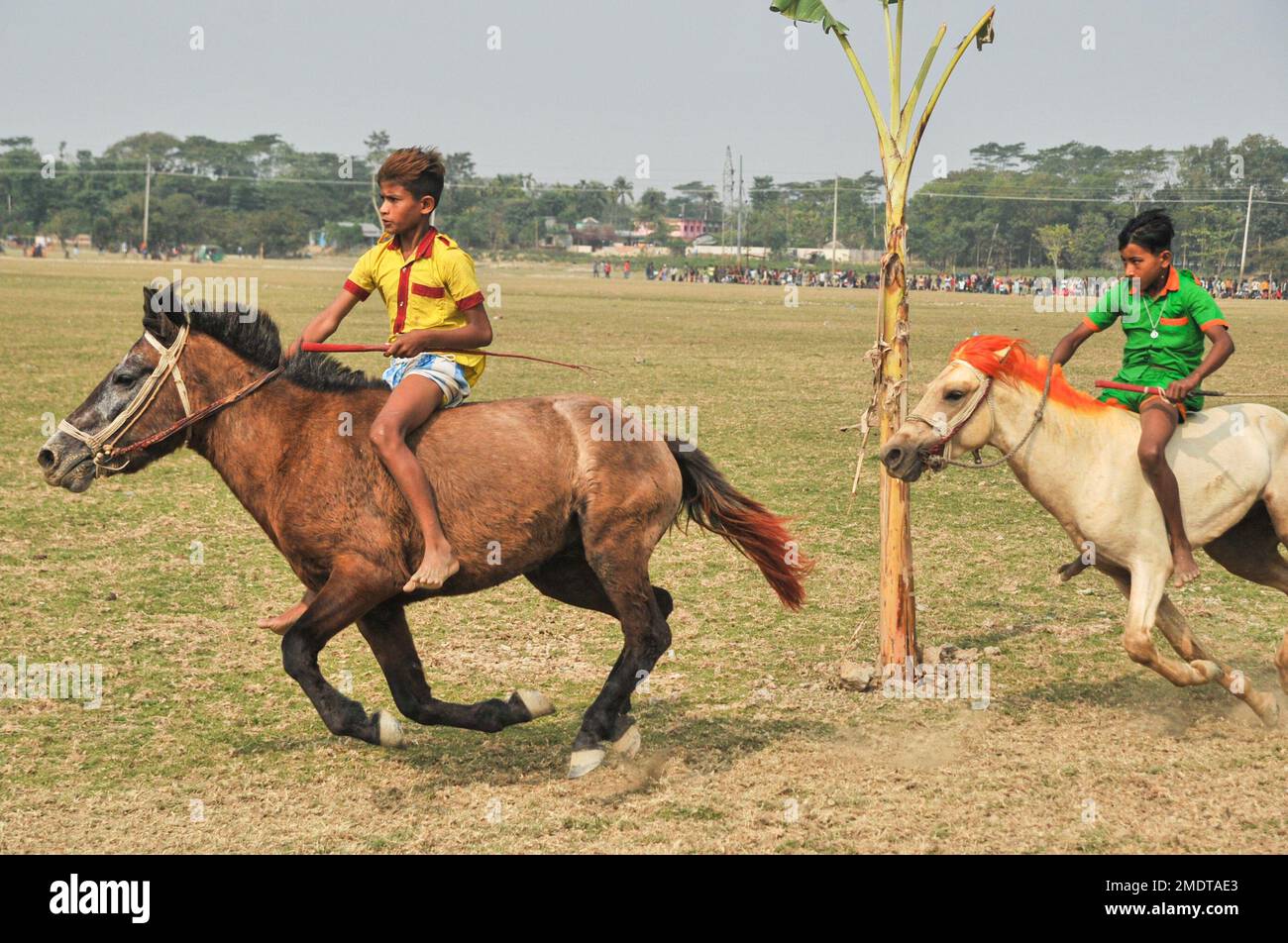 23 January 2023 in Sylhet-Bangladesh: A traditional Horse Race of ...