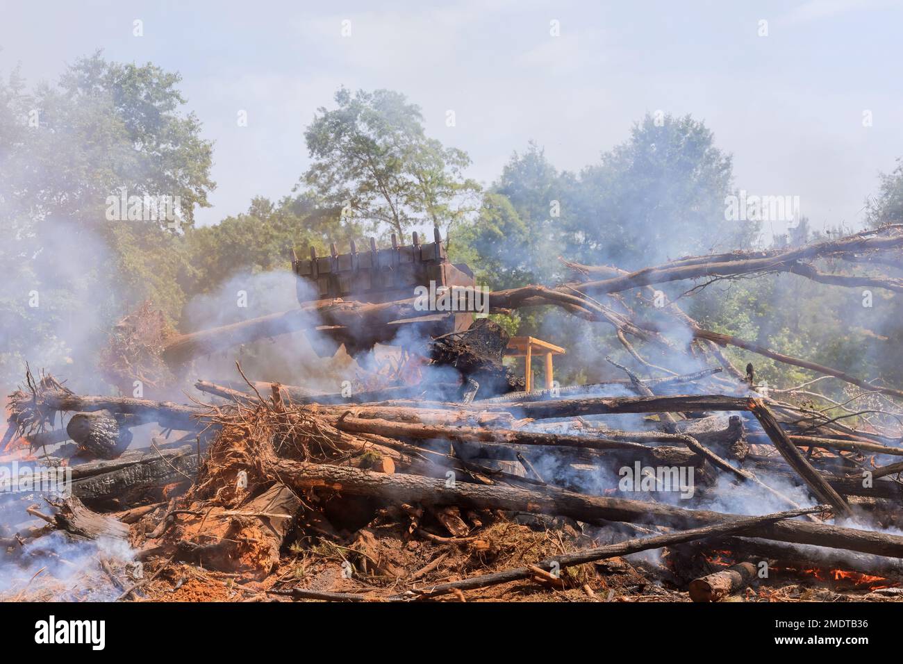 In construction site an burning the uprooted forest for construction to ...