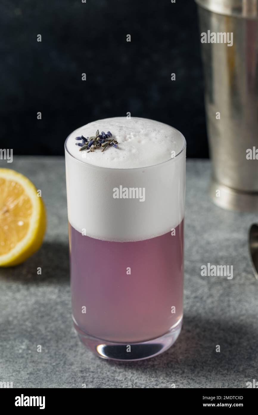 Boozy Purple Lavender Gin Fizz Cocktail with Lemon and Soda Water Stock ...