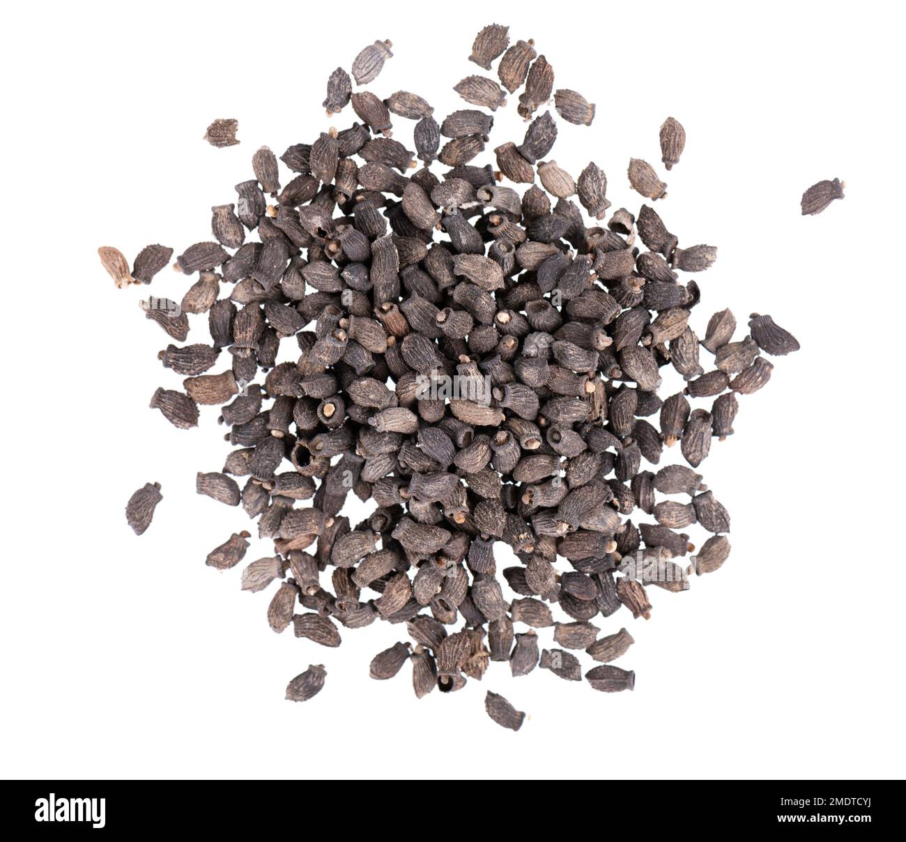 Borage seeds isolated on white background. Borago officinalis seeds ...