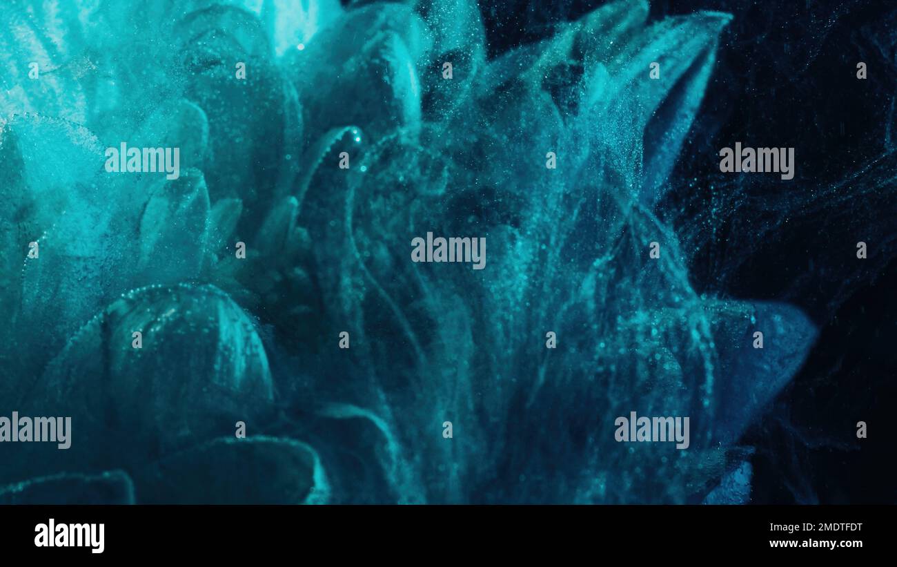 Mist paint underwater flower defocused hi-res stock photography and ...