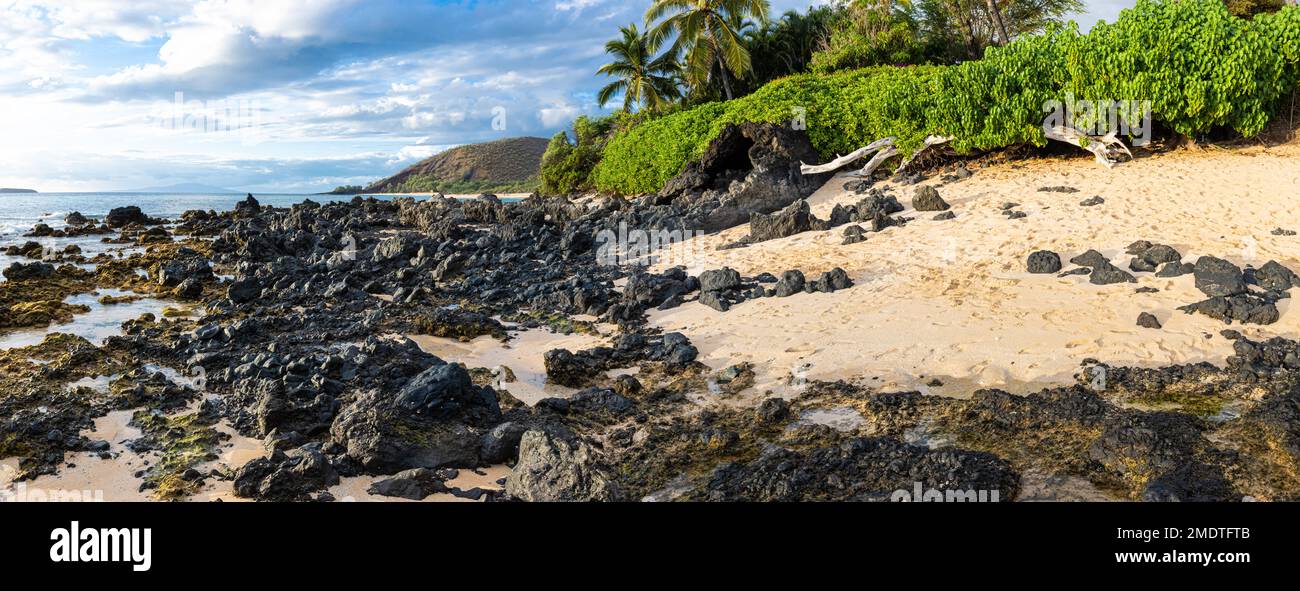 Palm Trees and Sand on Big Beach, Makena State Park, Maui, Hawaii, USA ...