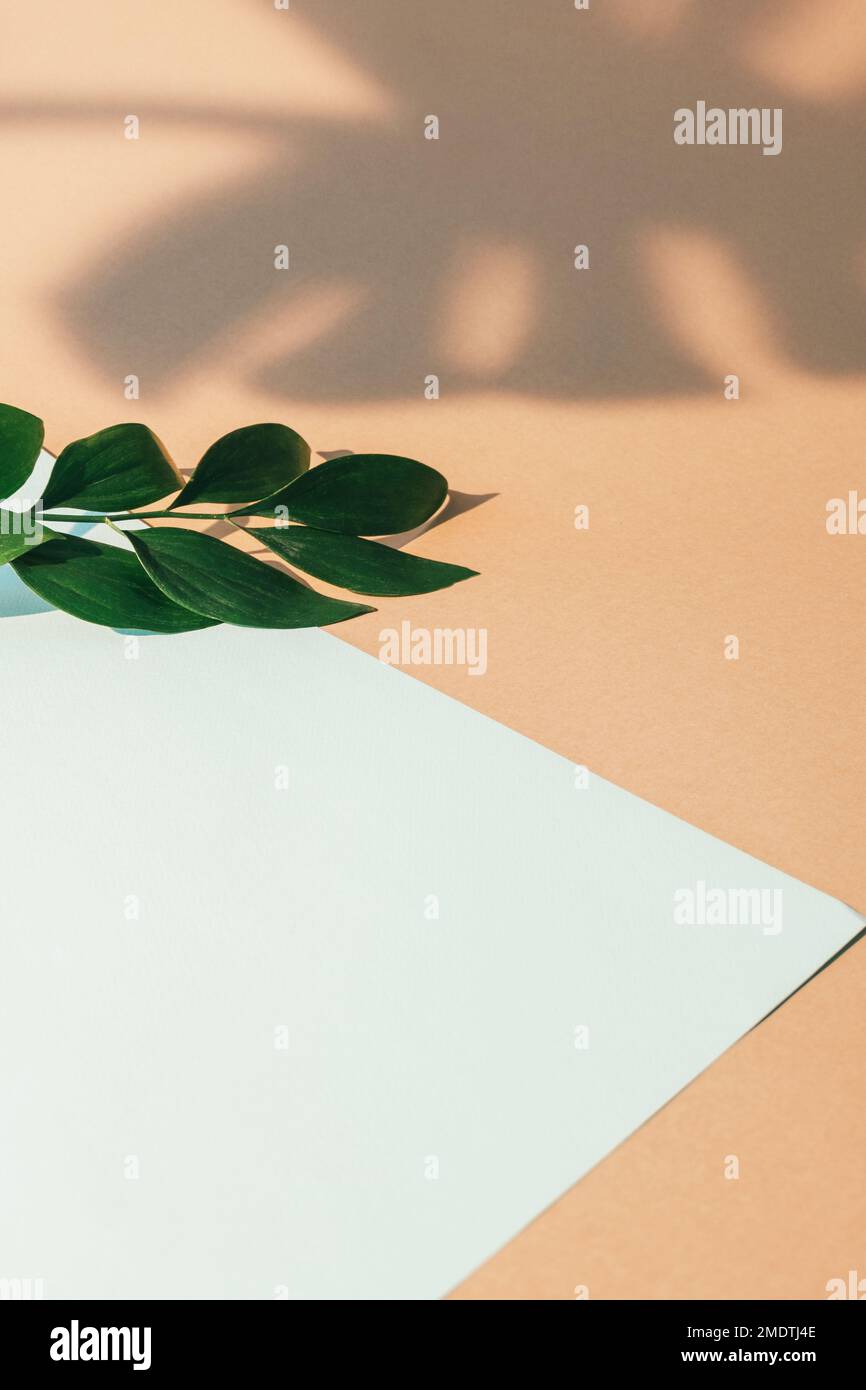 Mockup paper hi-res stock photography and images - Alamy