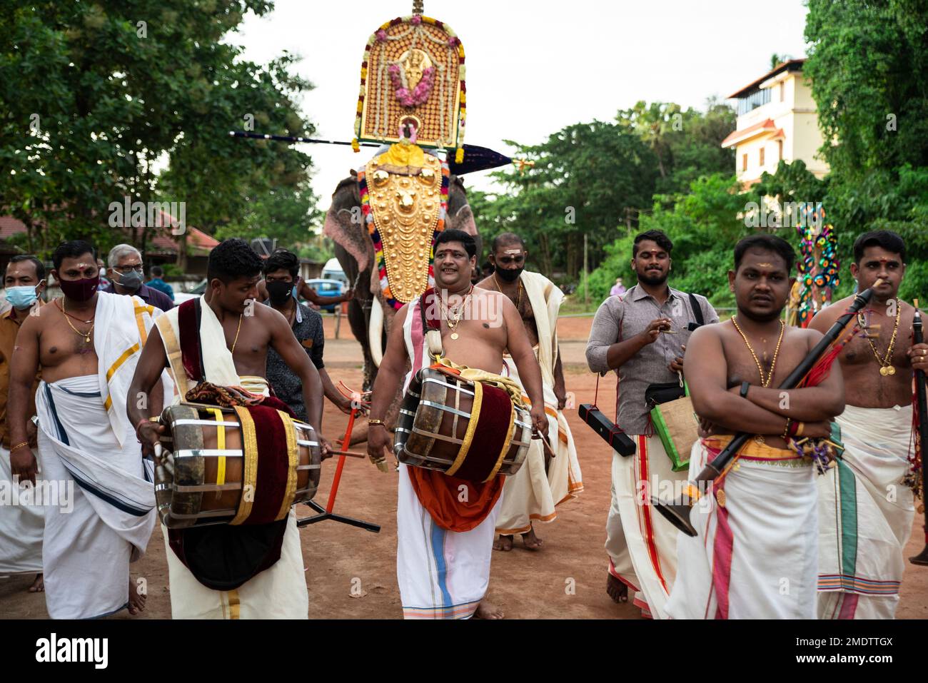 Percussion artists playing thavil, a traditional drum, walk ahead of a ...