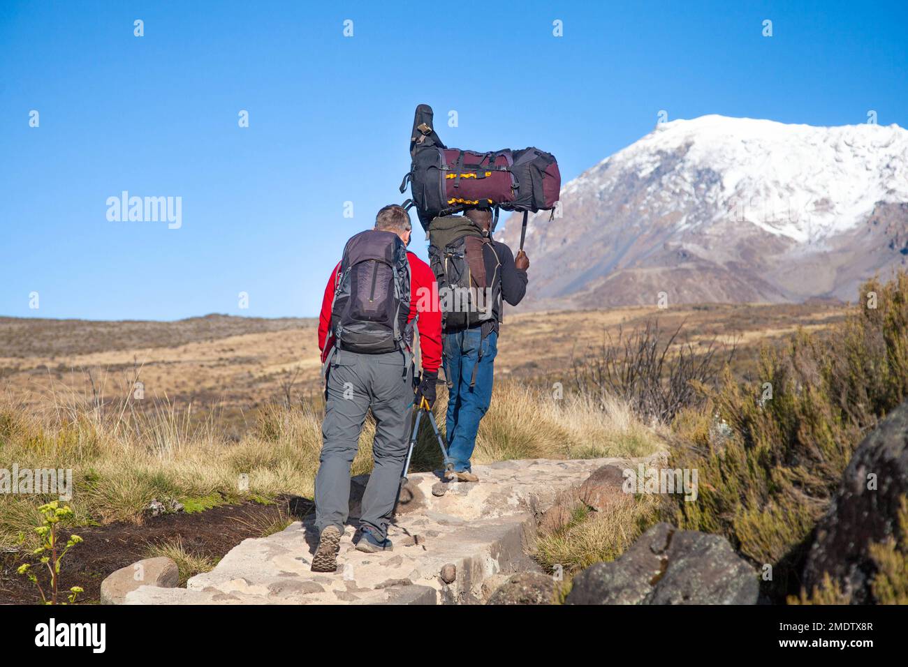 A porter carrying heavy load on his head on the way to Kilimanjaro ...