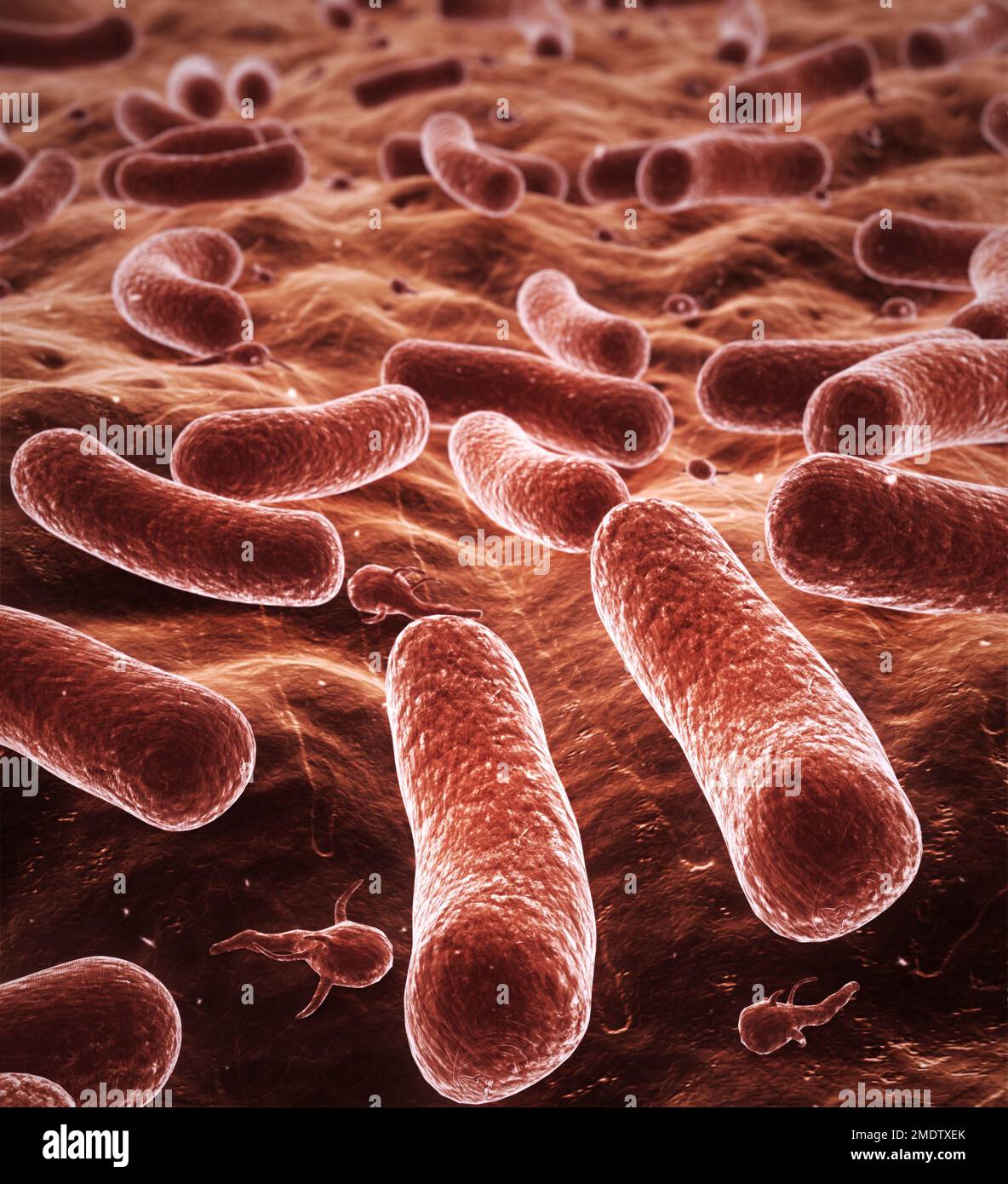 3d render high quality drawing bacteria Stock Photo - Alamy