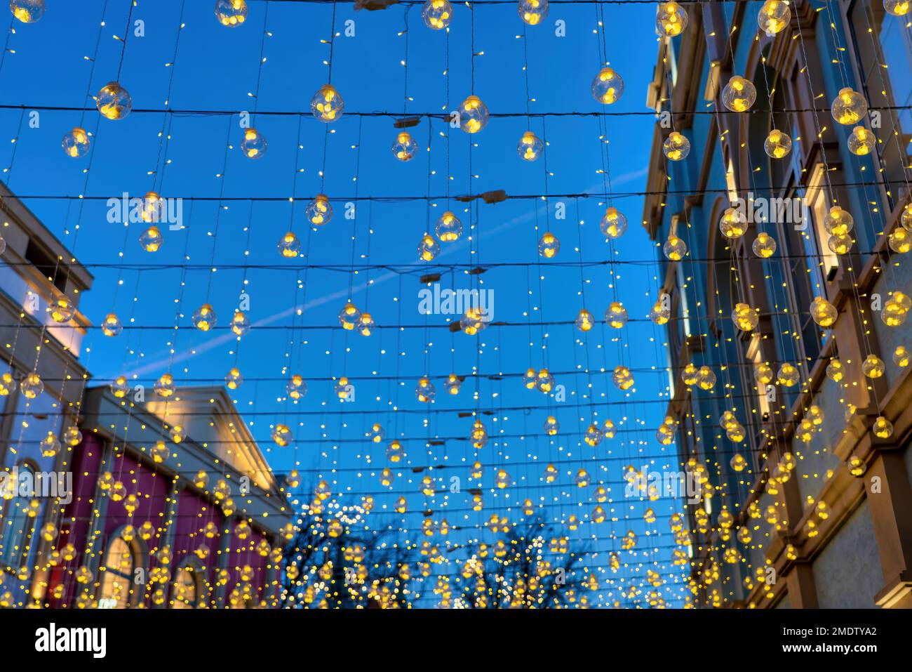 Festive hanging garlands with glowing light bulbs against the ...