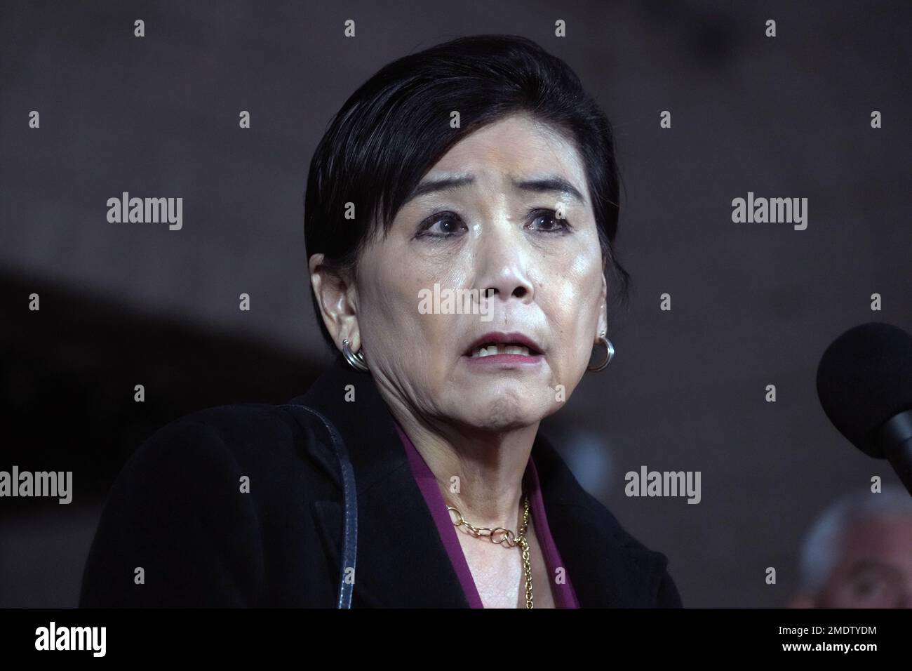 Rep. Judy Chu, D-Calif speaks to the media outside the Civic Center in ...