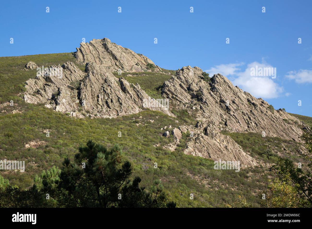 Canamero hi-res stock photography and images - Alamy