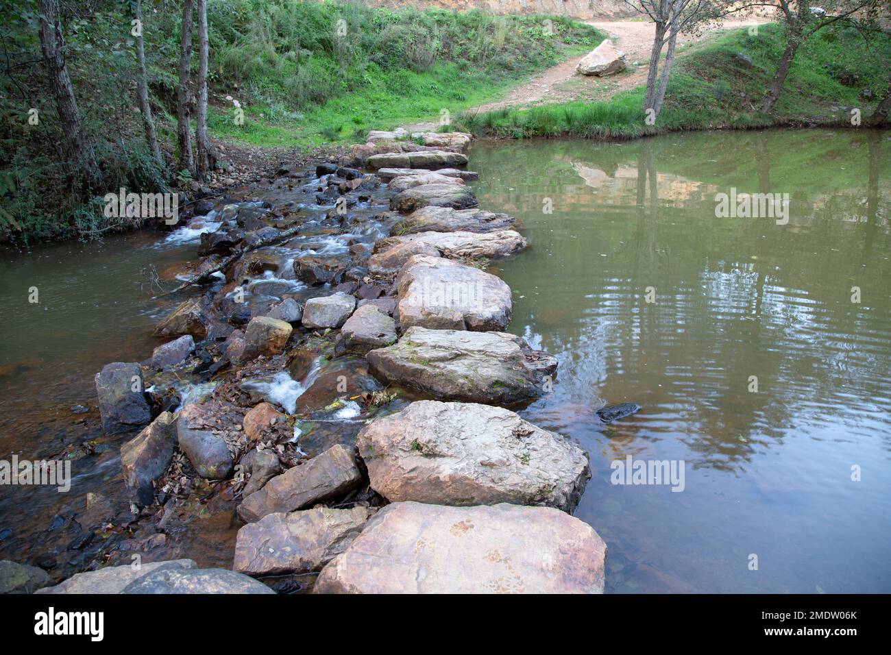 Canamero hi-res stock photography and images - Alamy