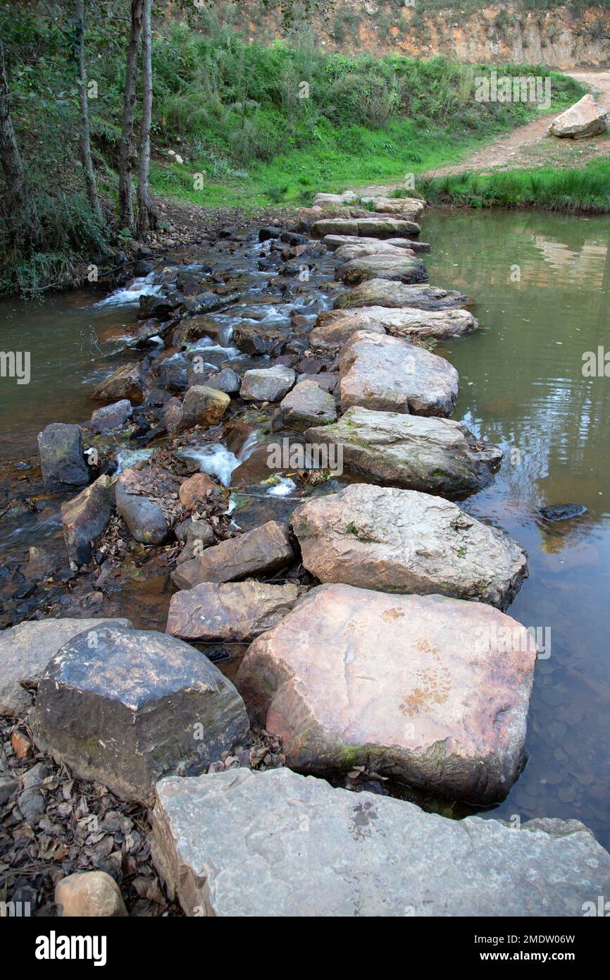 Canamero hi-res stock photography and images - Alamy