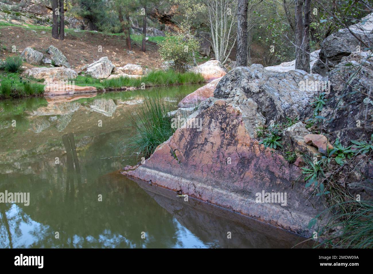 Canamero hi-res stock photography and images - Alamy