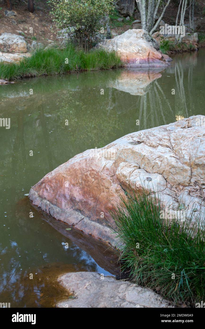 Canamero hi-res stock photography and images - Alamy