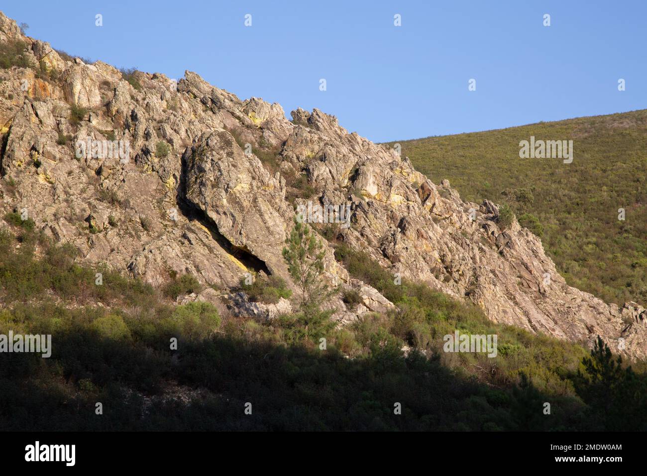 Canamero hi-res stock photography and images - Alamy