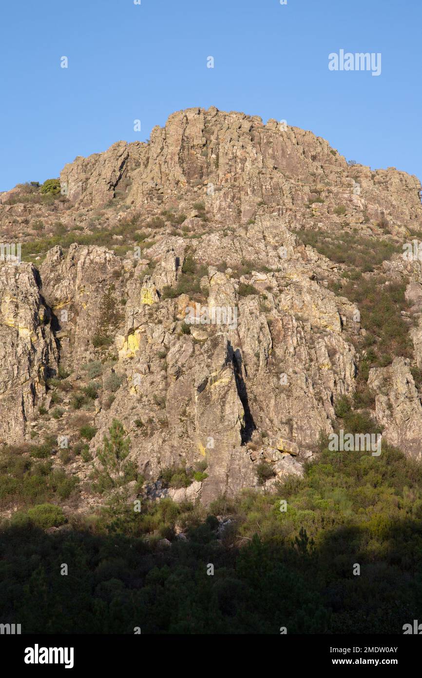 Canamero hi-res stock photography and images - Alamy