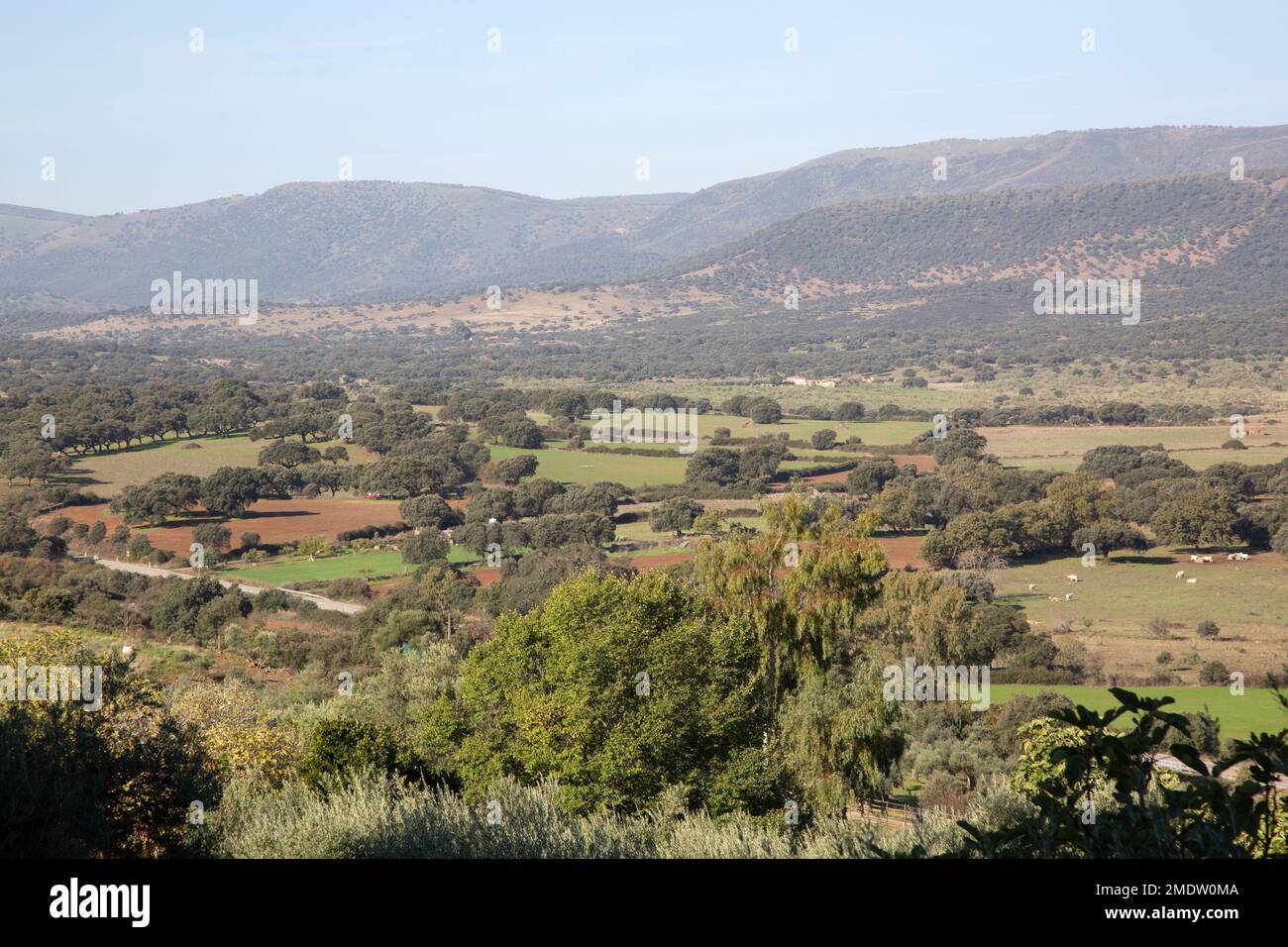 Scenic Landscape from Logrosan; Caceres; Spain Stock Photo - Alamy