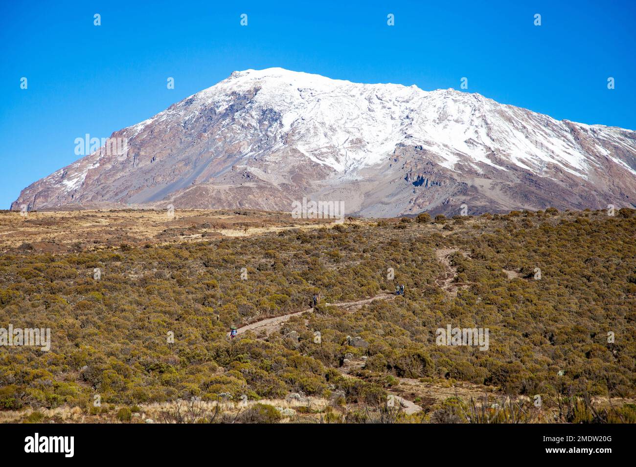 Snow on top of Mount Kilimanjaro. Tanzania Stock Photo - Alamy