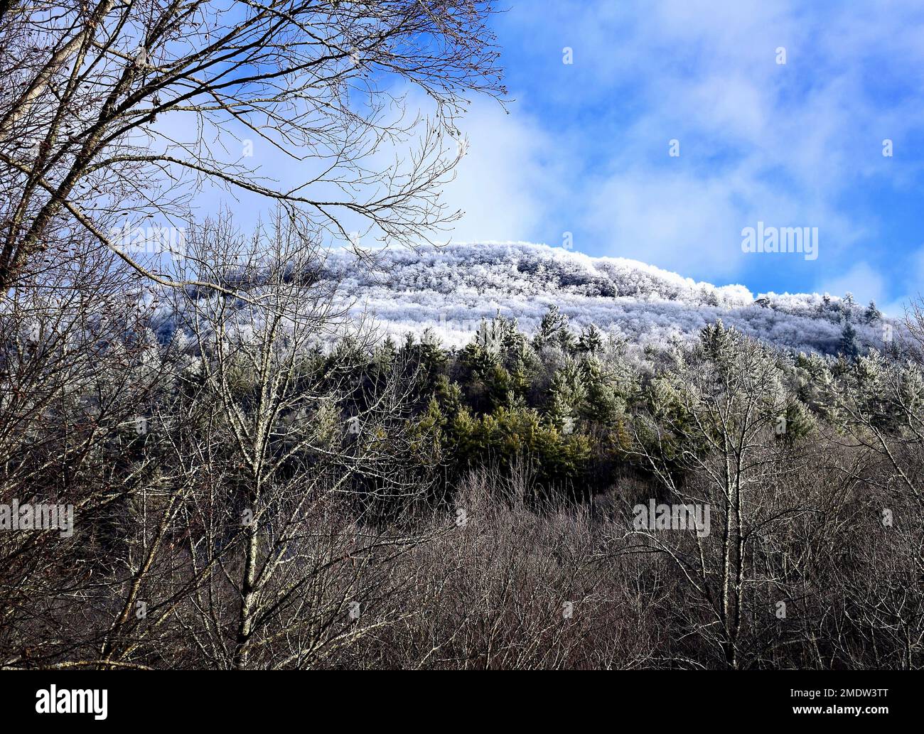 A view of a snowy mountain in Western North Carolina Stock Photo - Alamy