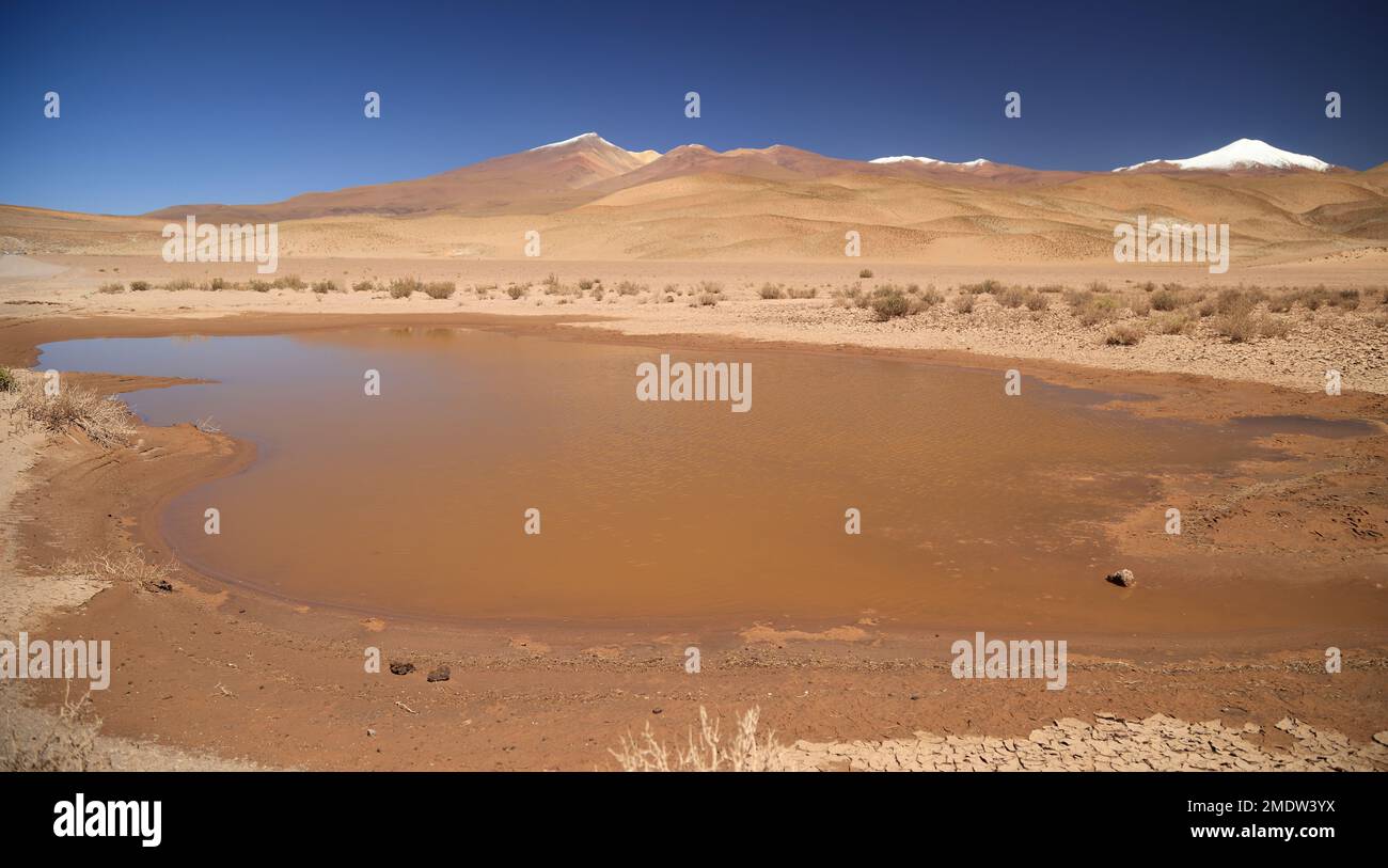 The beautiful colors of the Puna Argentina Stock Photo - Alamy