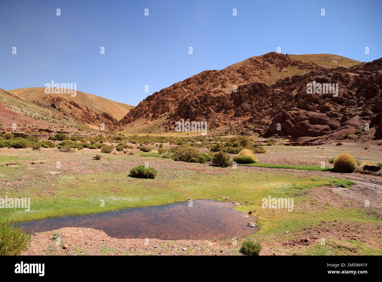 The beautiful colors of the Puna Argentina Stock Photo - Alamy
