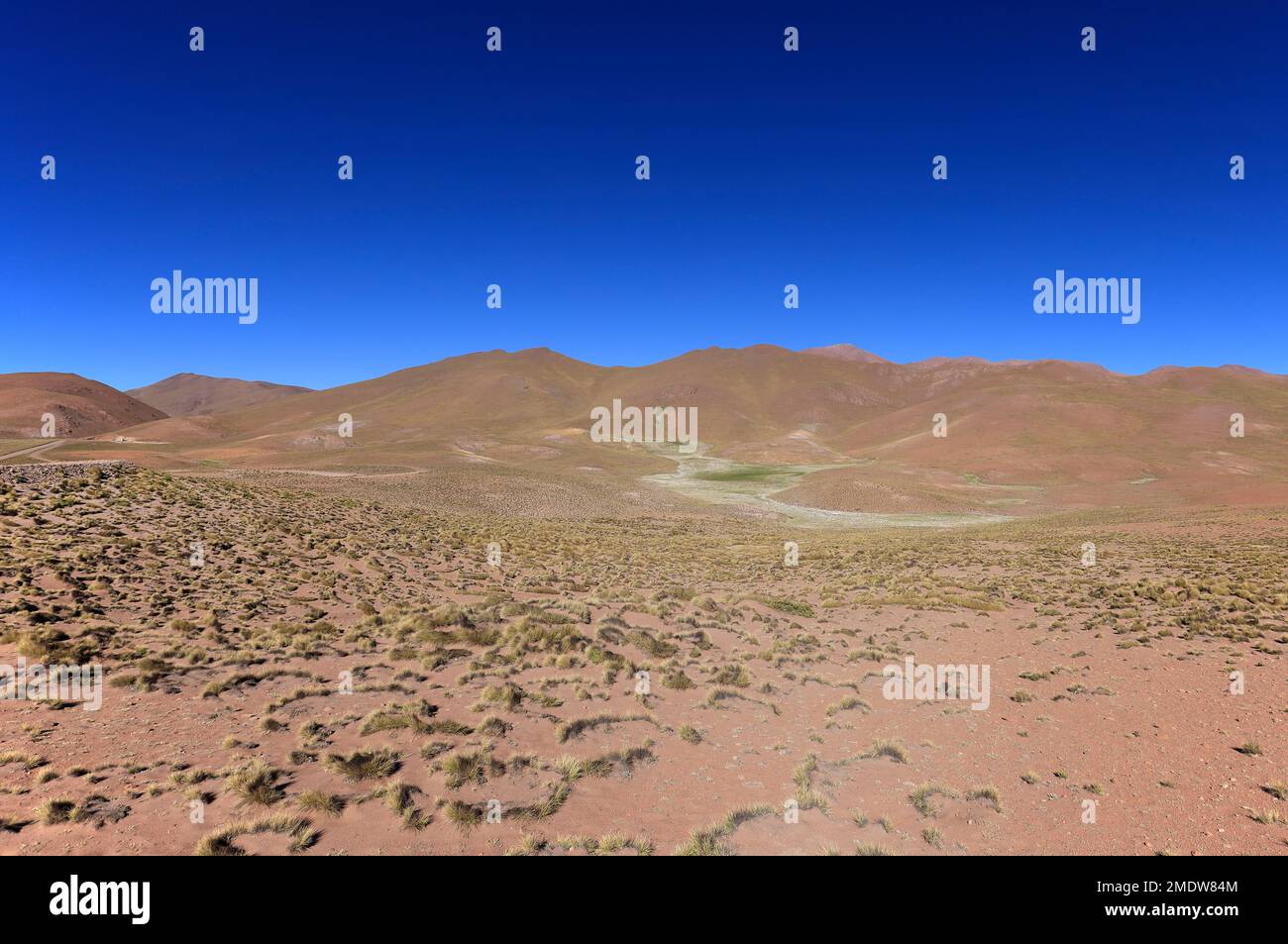 The beautiful colors of the Puna Argentina Stock Photo - Alamy