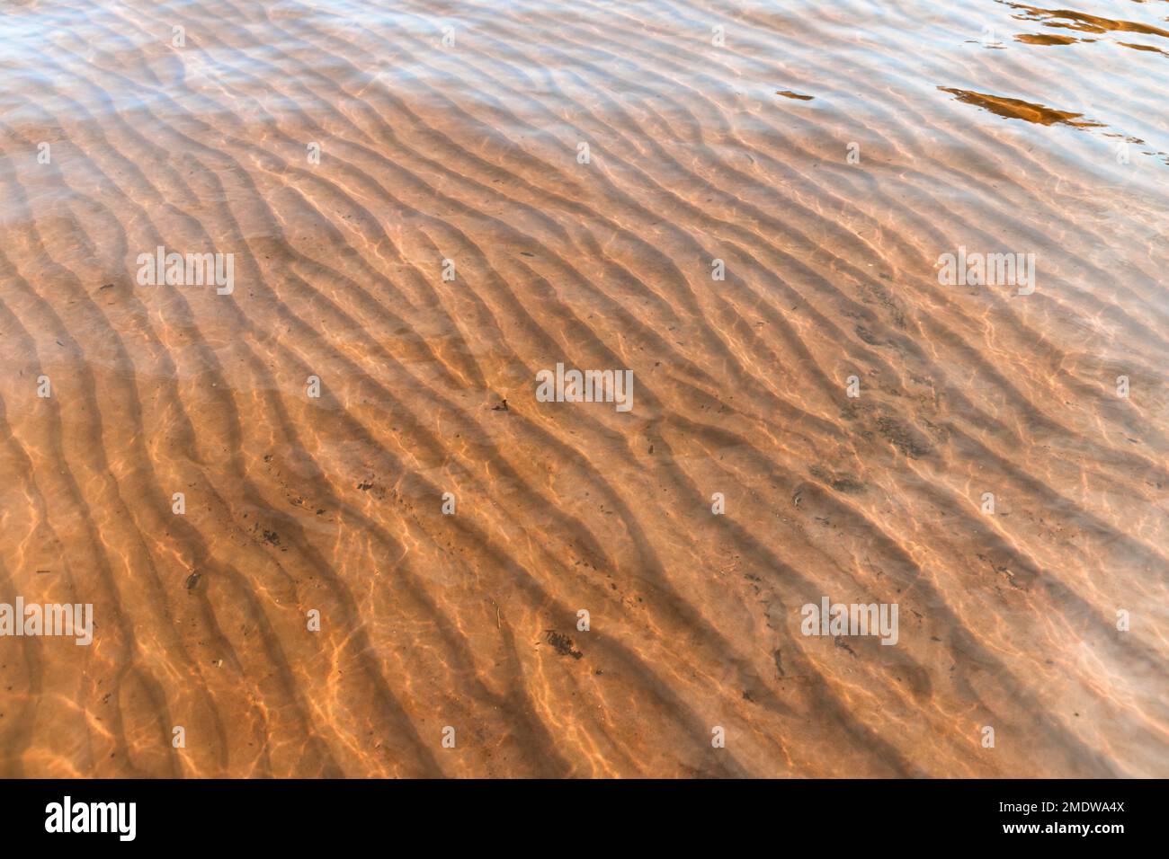 Seabed with wavy pattern on sand under shallow water, natural abstract ...