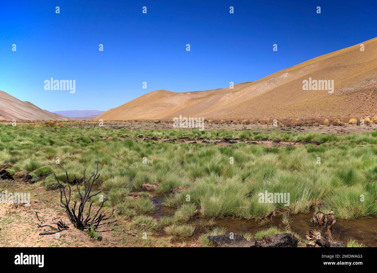The beautiful colors of the Puna Argentina Stock Photo - Alamy