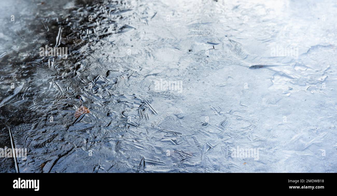 Frozen puddle with fallen leaf under thin ice layer, natural background ...