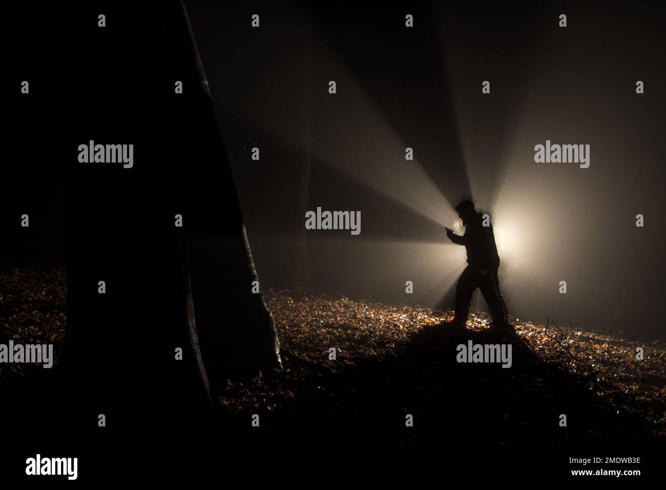 Armed silhoulette man in dark forest at backlight Stock Photo - Alamy