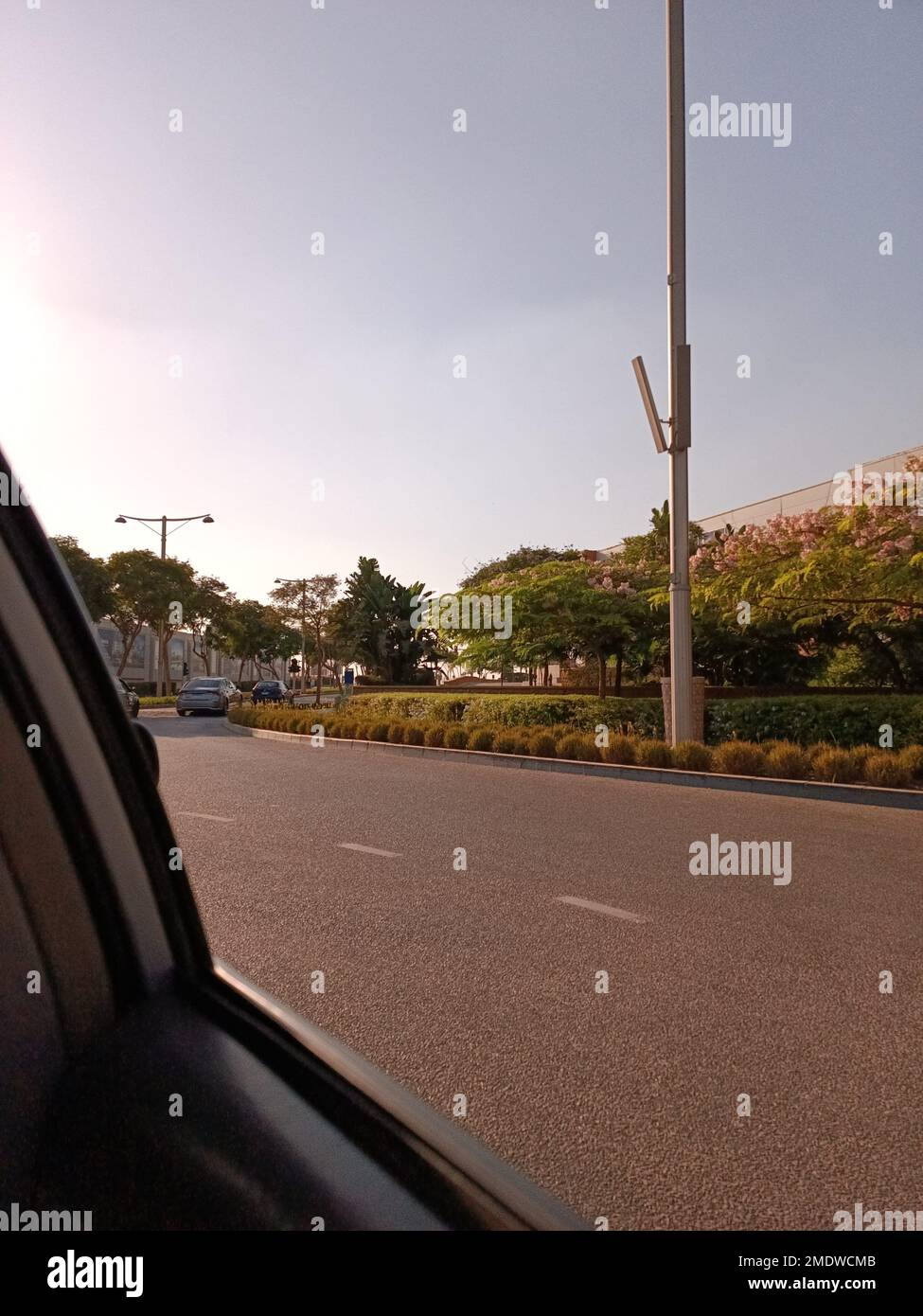 The view of the asphalt road from the car window Stock Photo - Alamy