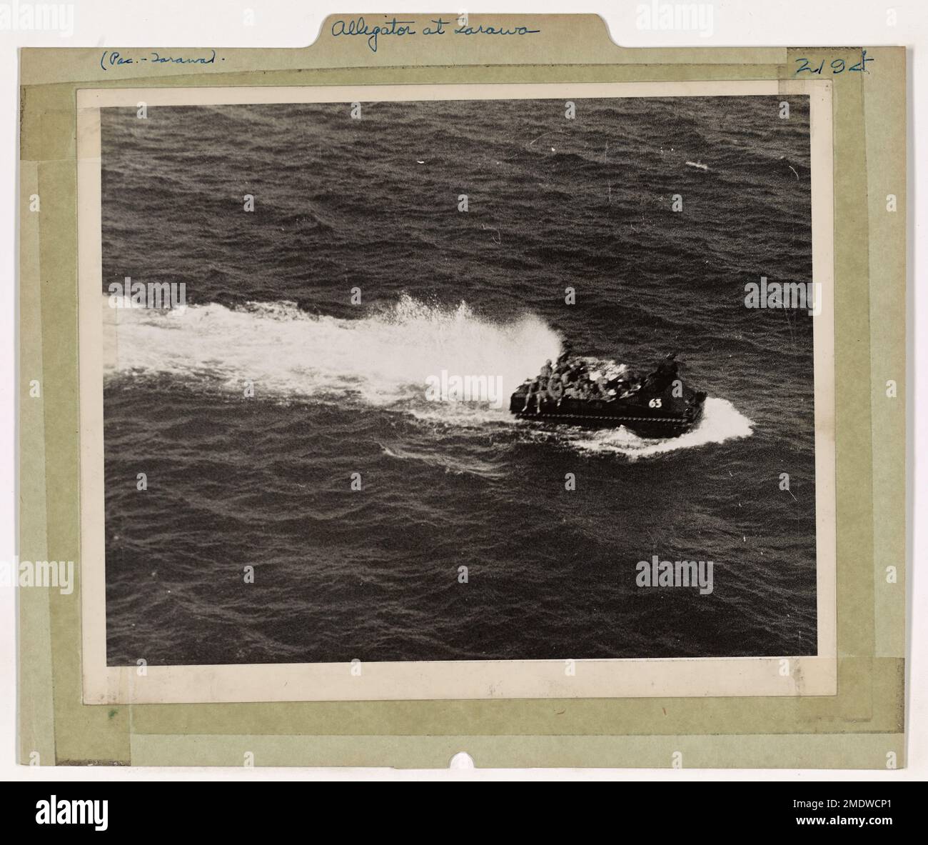 During the invasion of Tarawa, alligators in the lagoon became a ...