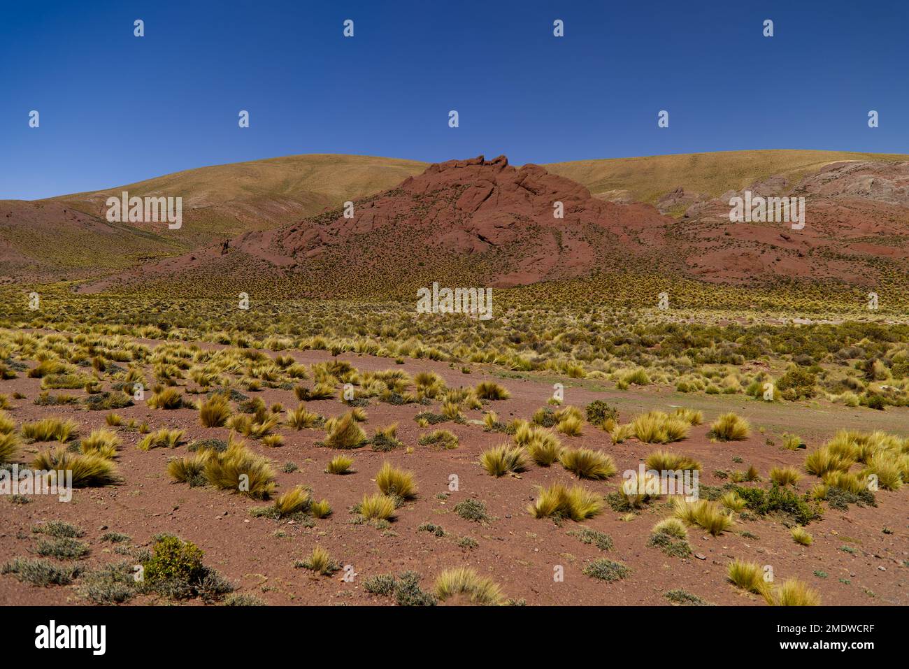 The beautiful colors of the Puna Argentina Stock Photo - Alamy