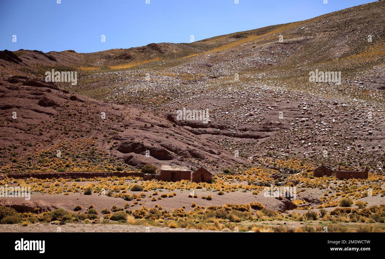 The beautiful colors of the Puna Argentina Stock Photo - Alamy