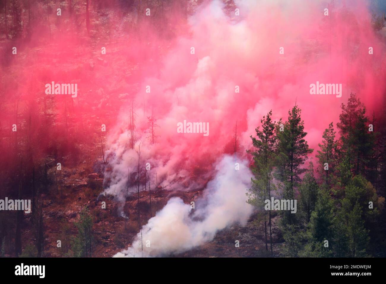 Smoke and red fire retardant sprayed by Israeli firefighting aircraft ...