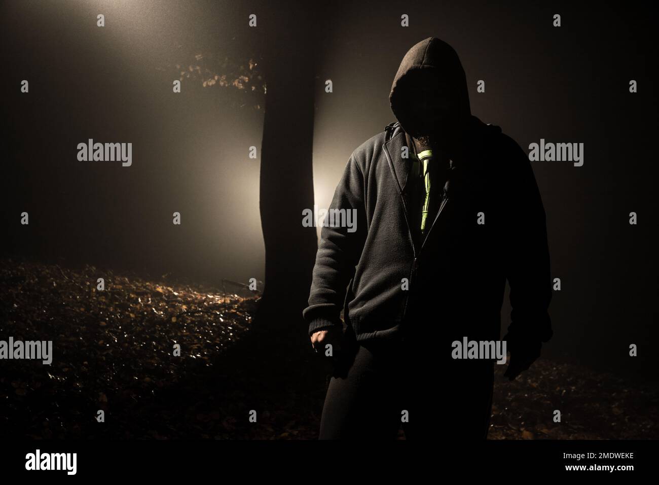 Hooded man in the dark forest at backlight Stock Photo - Alamy