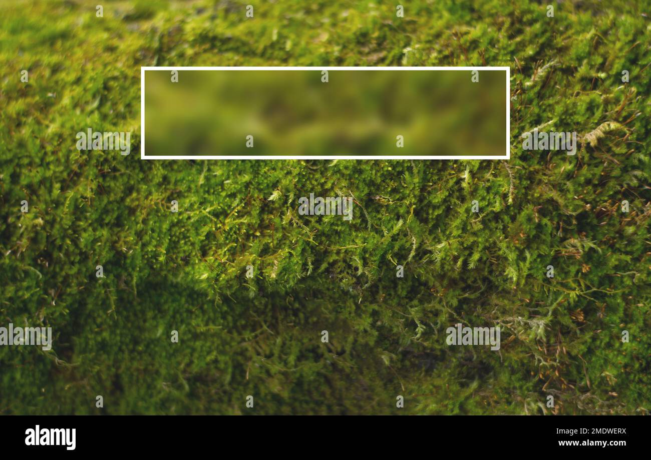 Empty text box hi-res stock photography and images - Alamy