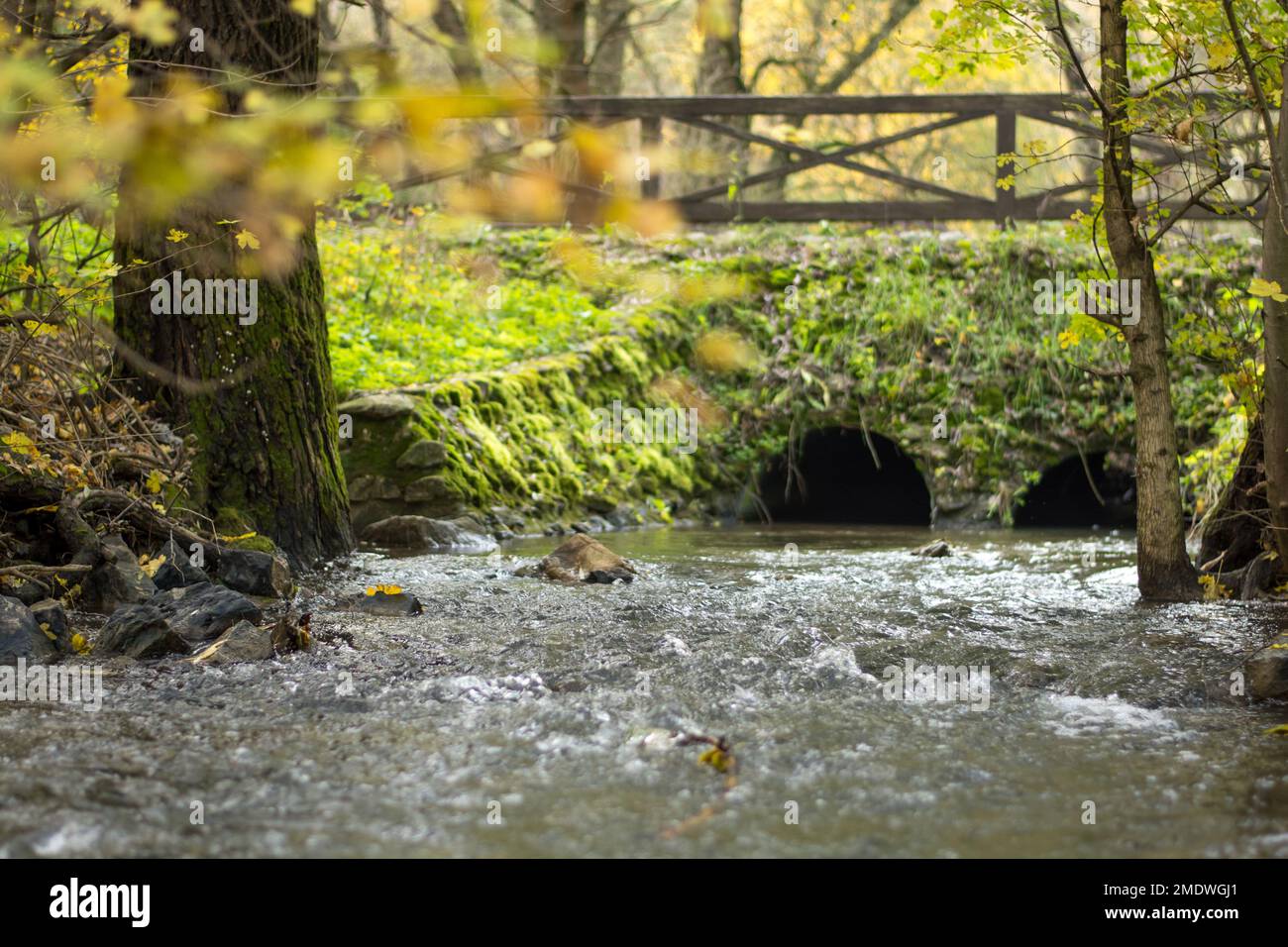 Stone bridge in rock creek park hi-res stock photography and images - Alamy