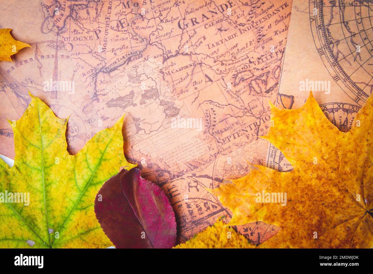 Traveler's map in autumn leaves. Travel in autumn. Vintage map and ...