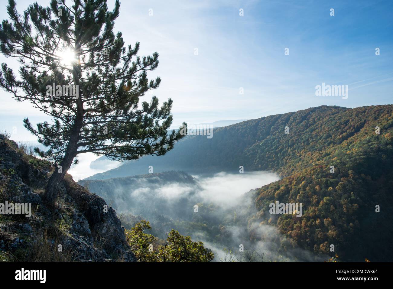 Tree shadow on mountain hi-res stock photography and images - Alamy
