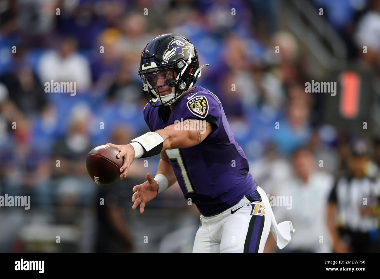 Baltimore Ravens quarterback Trace McSorley looks to pass against the ...