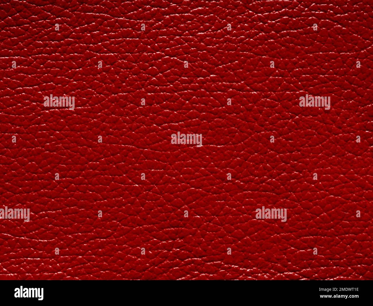 Genuine red color leather. Natural material with design lines pattern ...