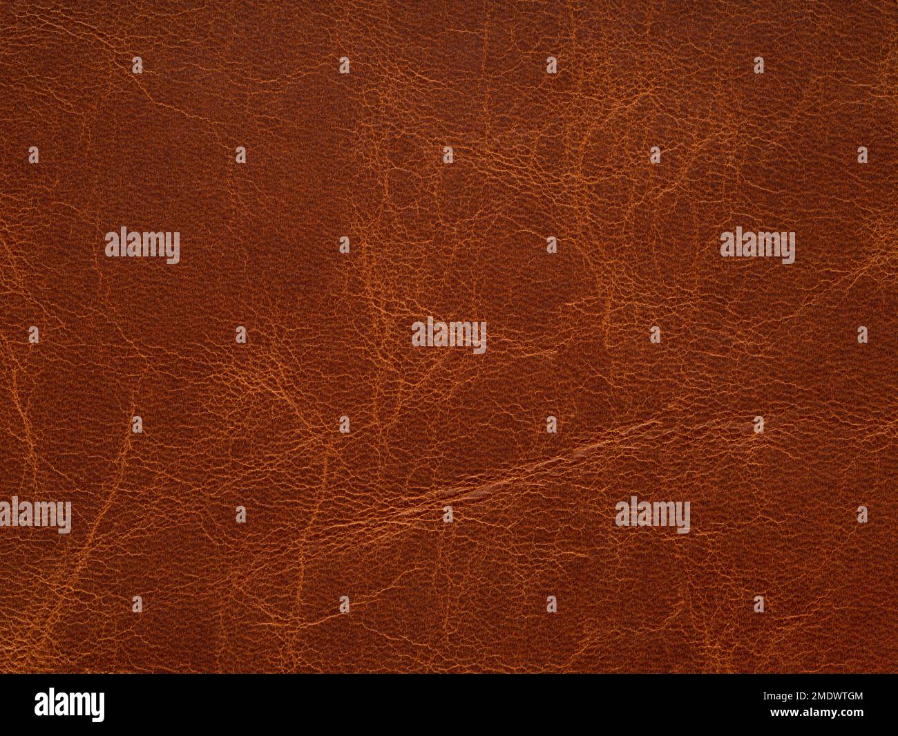 Genuine brown leather. Natural material with design lines. Pattern or ...