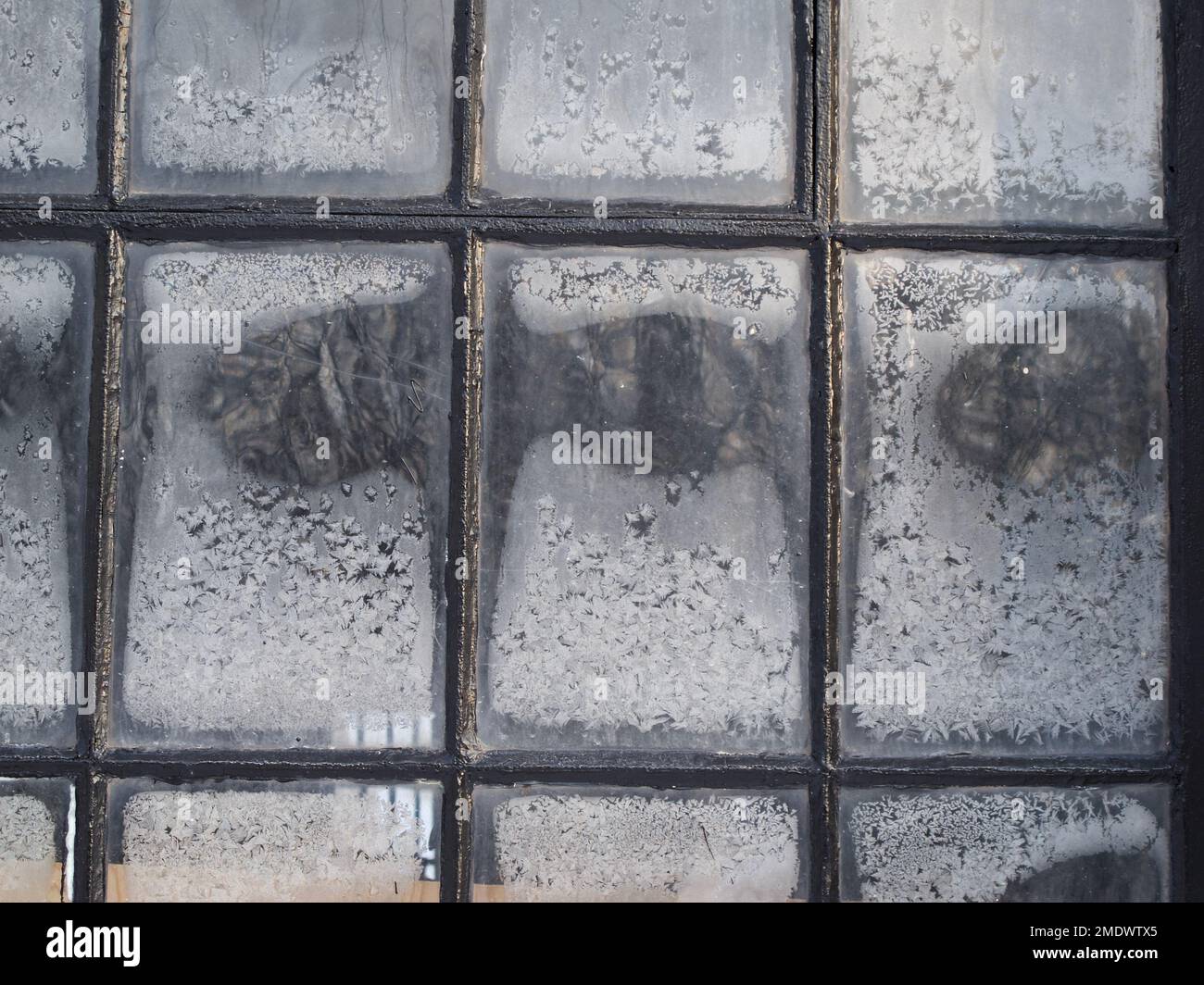 Old checkered window with small frosted panes of an industrial building ...