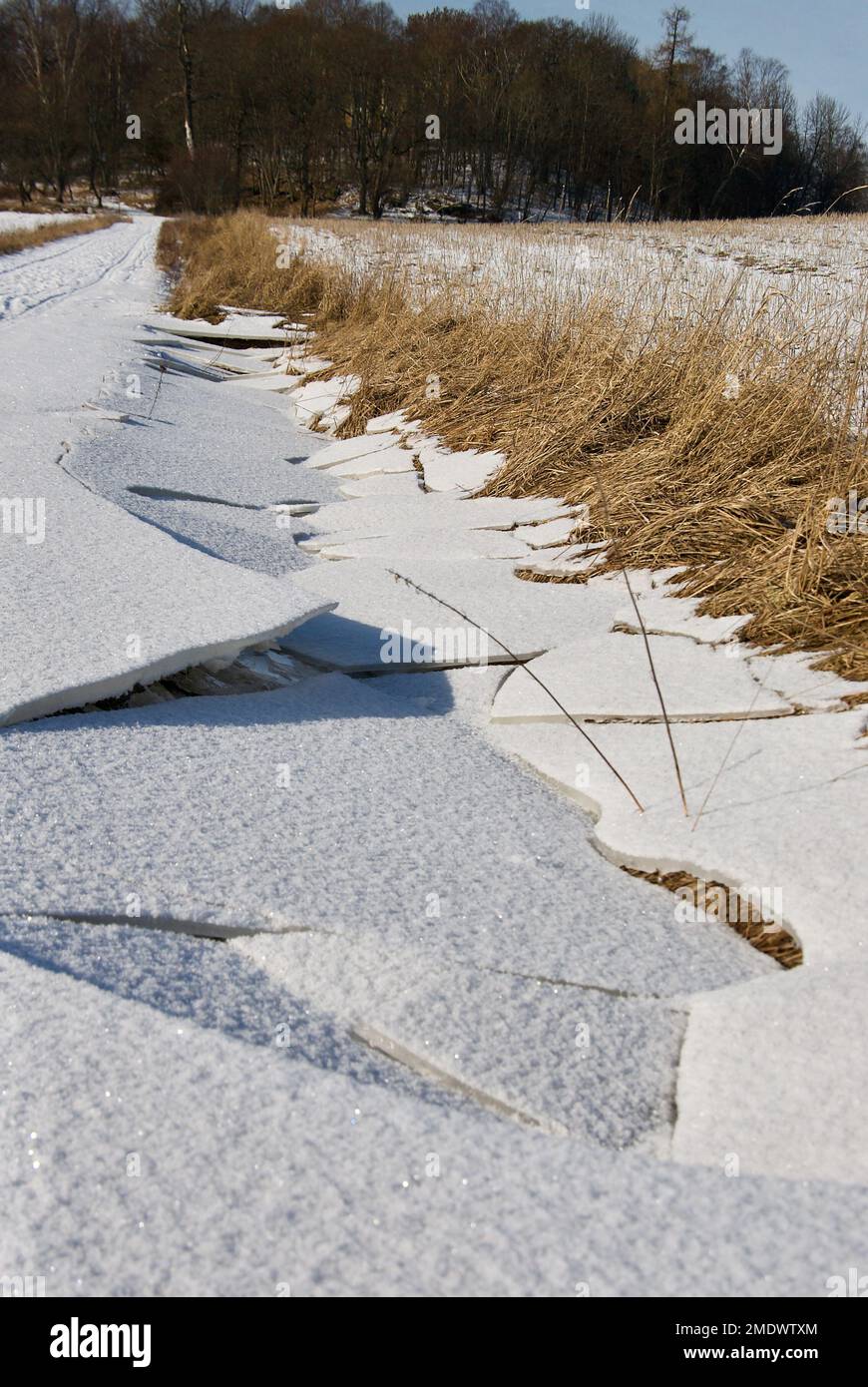 Walkway across a field with snow and lined with thick ice that has ...