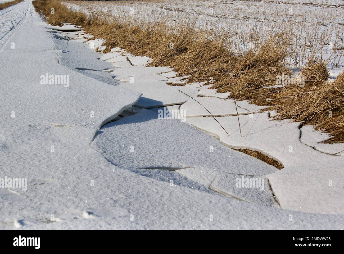 Walkway across a field with snow and lined with thick ice that has ...