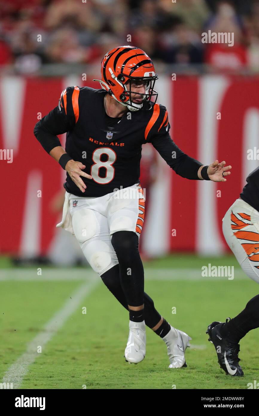 Cincinnati Bengals quarterback Brandon Allen (8) hands the ball off ...