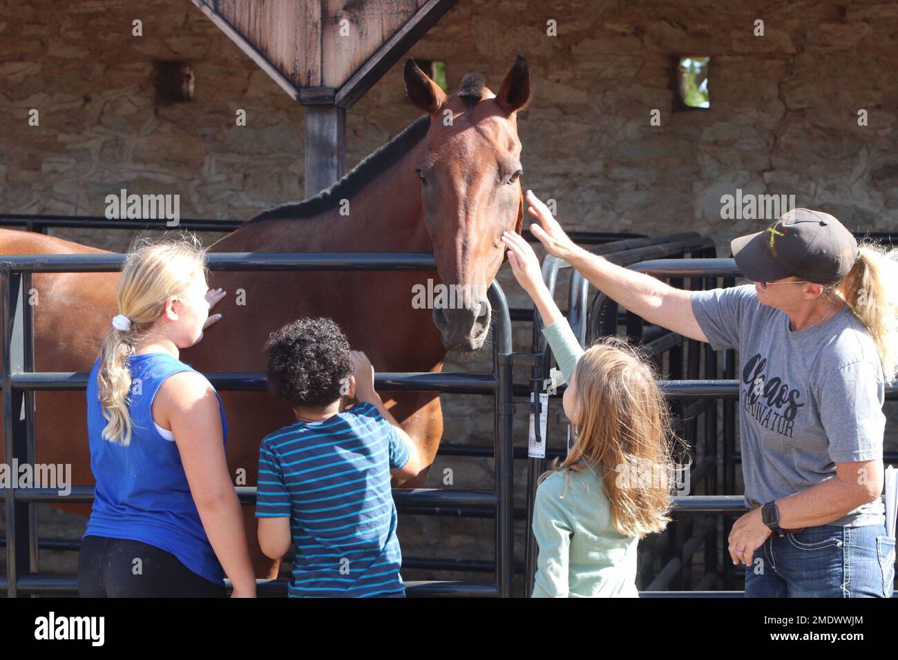Lara armstrong hi-res stock photography and images - Alamy