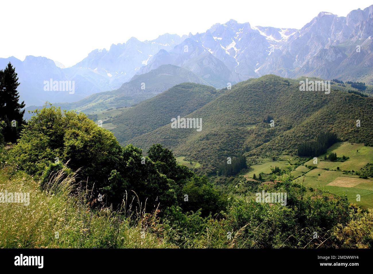 Landscape view of the Picos de Europa mountains from near Potes ...