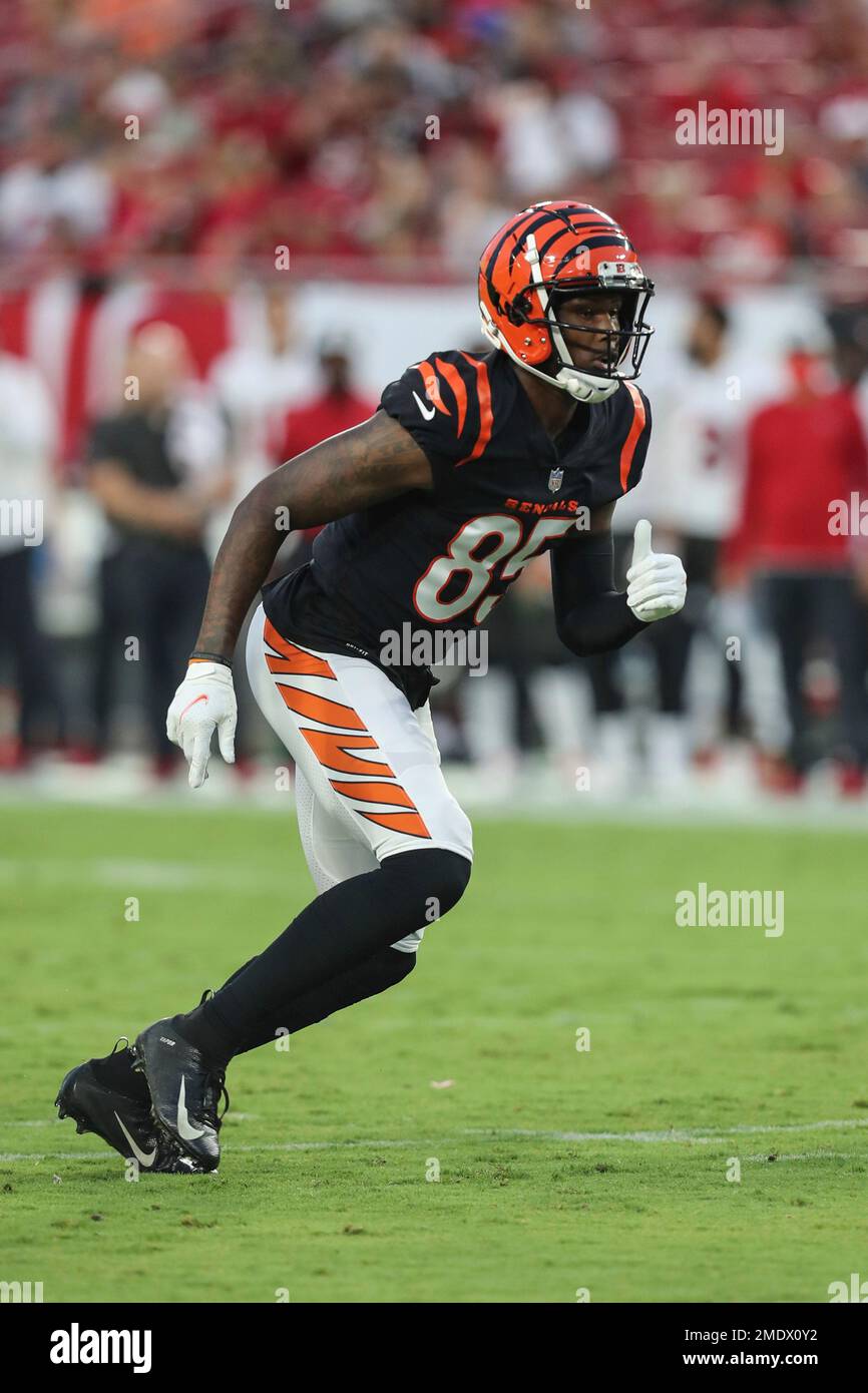 Cincinnati Bengals wide receiver Tee Higgins (85) is seen in action ...